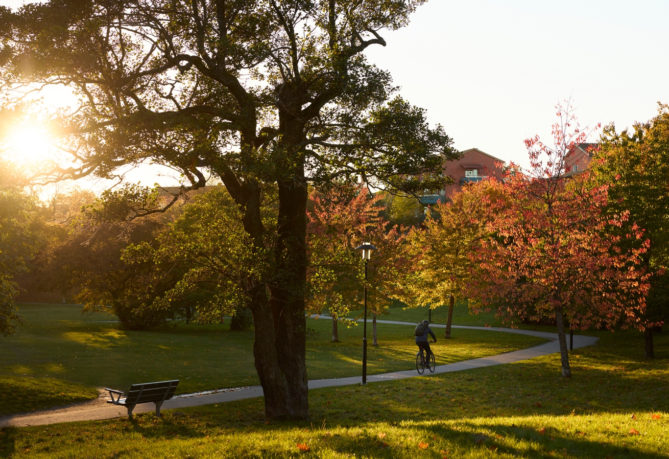 Köpa nyproduktion i Solna – Stationshuset - Besqab